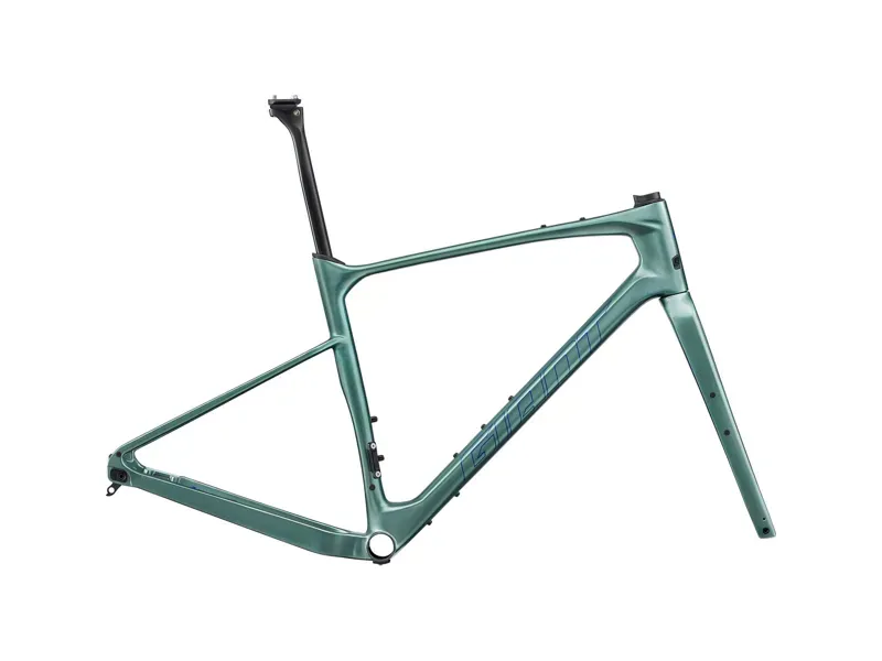 Giant Revolt Advanced Pro Road Bike Frameset in Gloss Misty Forest