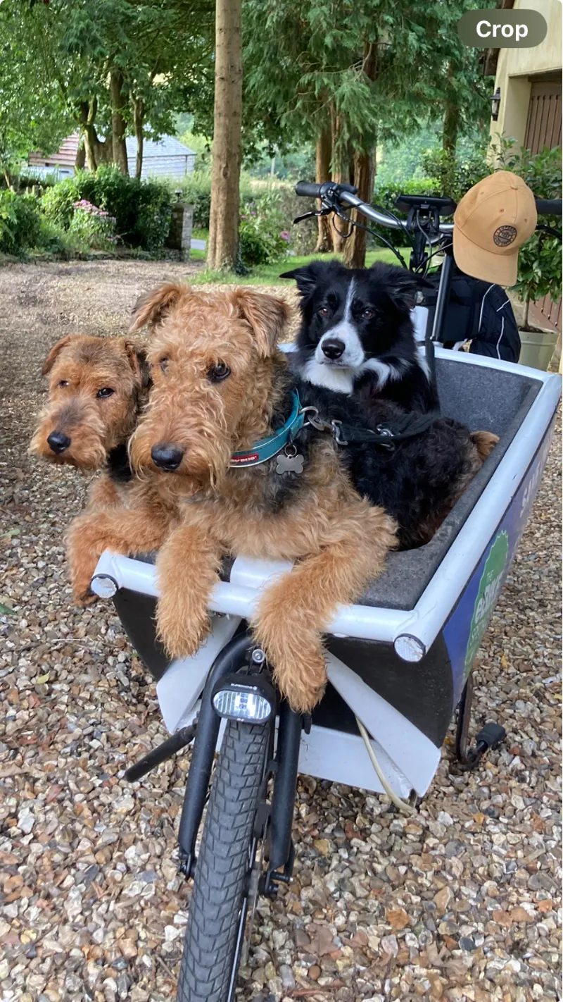 Planet BIKE | About us